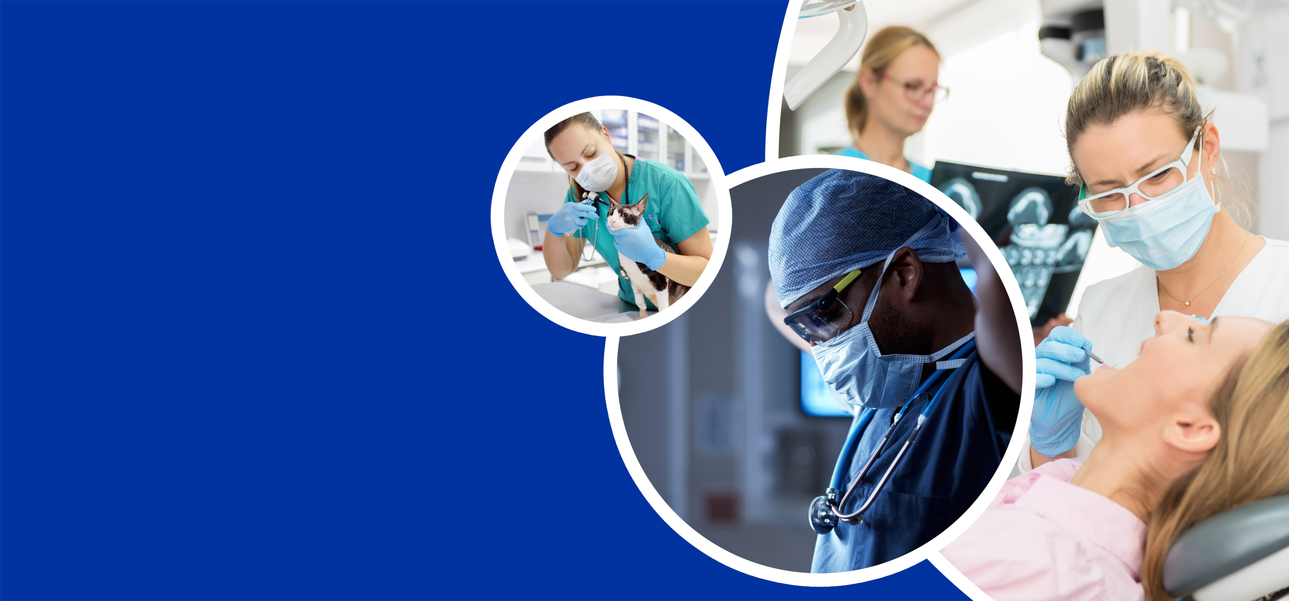 Healthcare Banking | Cogent Bank